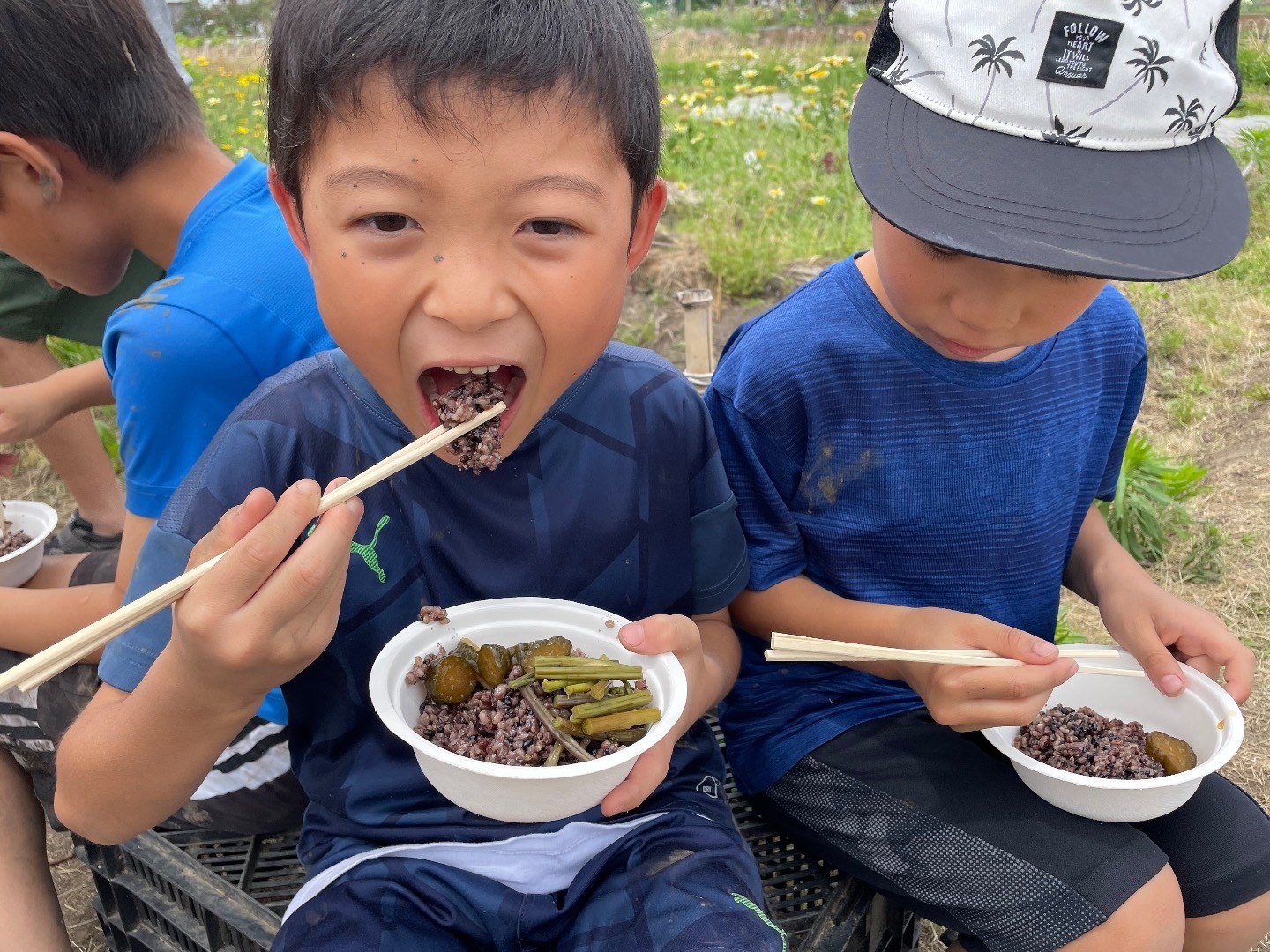 VIRTUS田植え体験inヌマーランド: 徳は孤ならず必ず隣あり