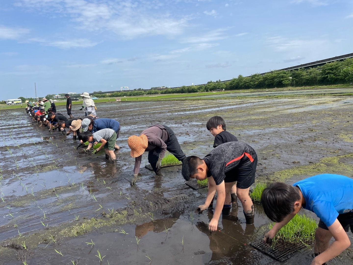 VIRTUS田植え体験inヌマーランド: 徳は孤ならず必ず隣あり