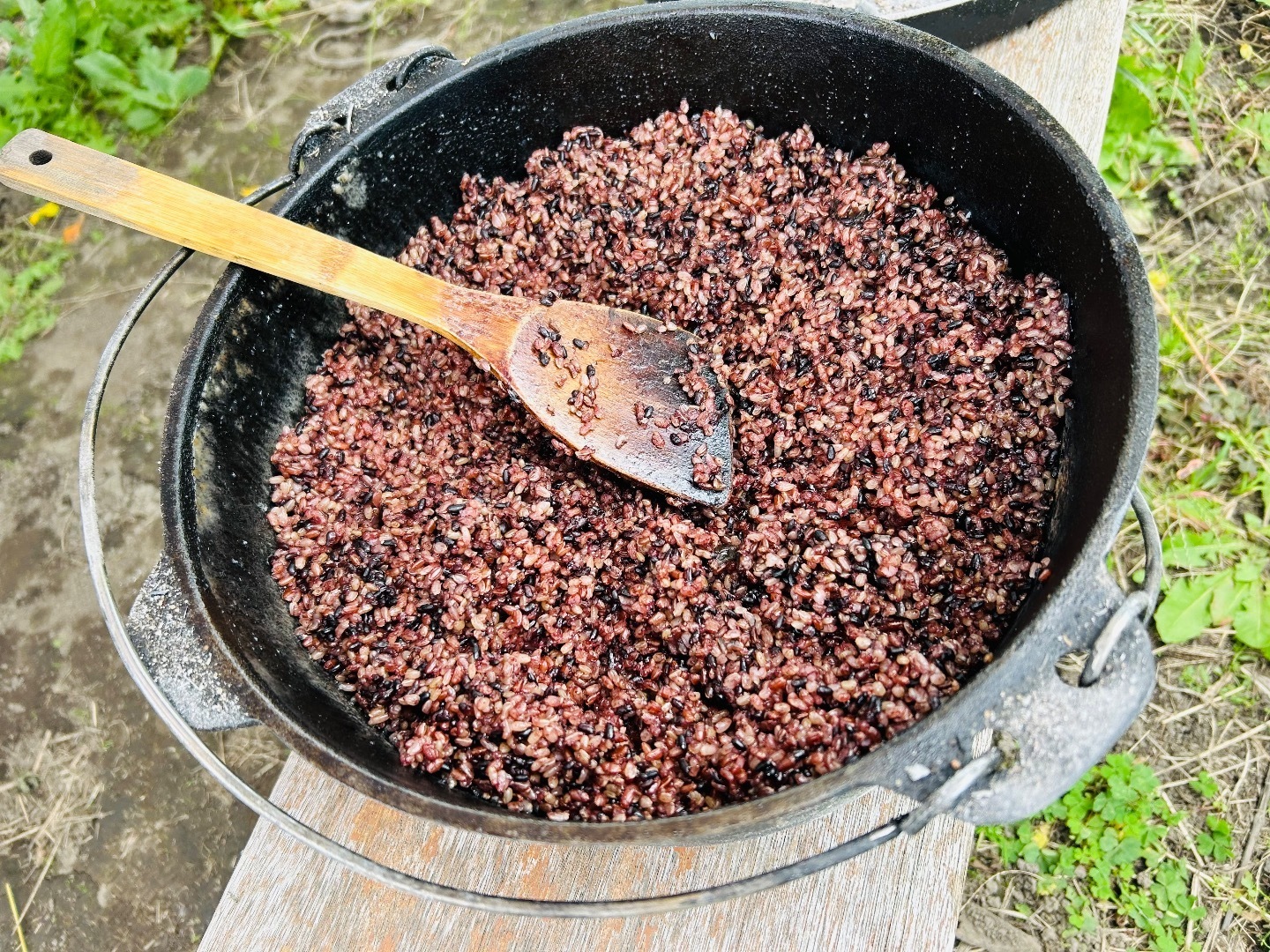 VIRTUS稲刈りinヌマーランド: 徳は孤ならず必ず隣あり