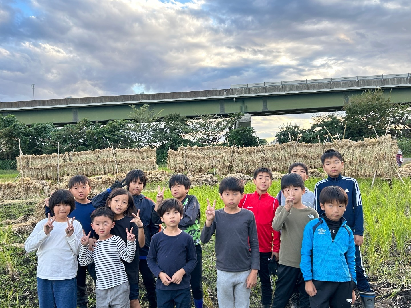 VIRTUS稲刈りinヌマーランド: 徳は孤ならず必ず隣あり